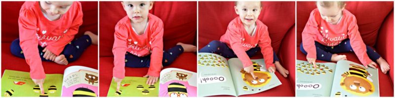 Book Review - The Bumblebear by Nadia Shireen - Snapshots & Adventures