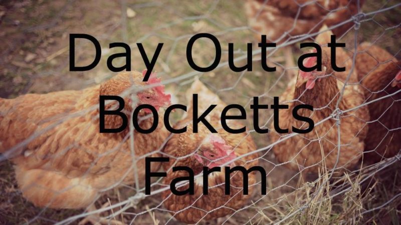 A Day Out at Bocketts Farm - Snapshots & Adventures